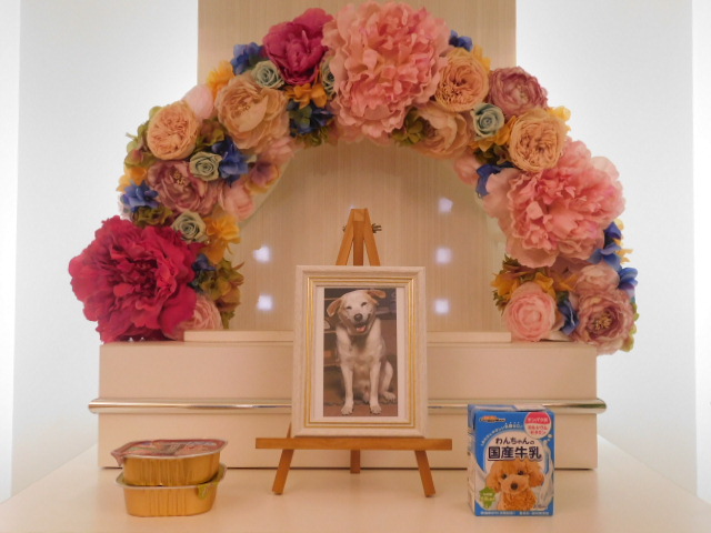 水戸市愛犬まさおちゃん｜ペット霊園・葬祭・火葬 茨城県水戸市 水戸ペットセレモニー